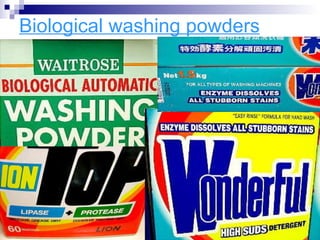 Chapter 5 Enzymes Lesson 2 - Characteristics of enzymes | PPT