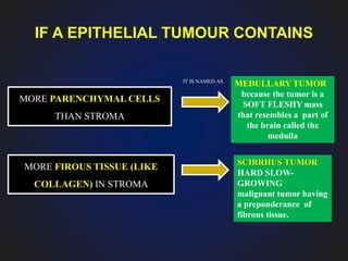 characteristic features of tumours | PPTX