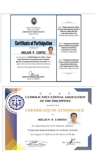CHED - Modular Approach to Teaching General Education Courses (GEC) | PDF