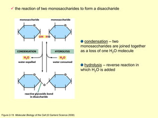 2_Chemical_Composition.pdf