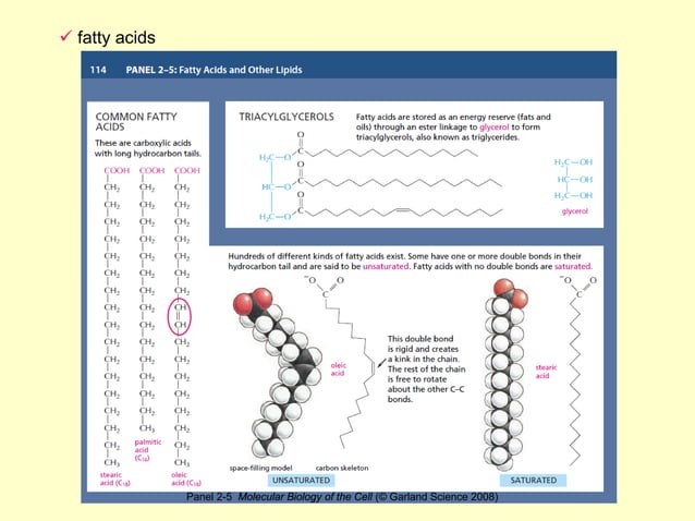 2_Chemical_Composition.pdf