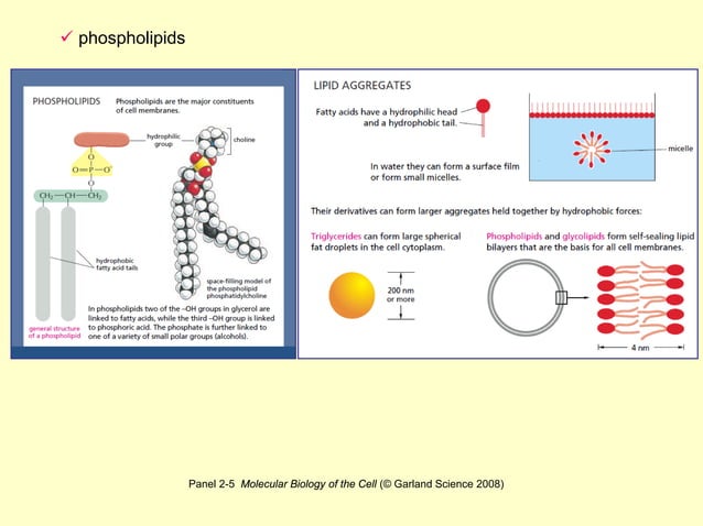 2_Chemical_Composition.pdf