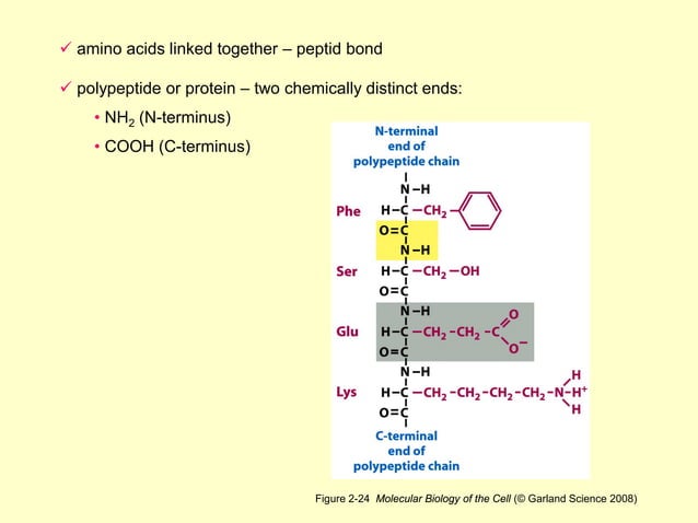 2_Chemical_Composition.pdf