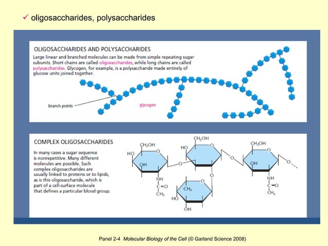 2_Chemical_Composition.pdf