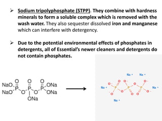 2 Chemical Constitution of Detergent Molecules.pdf
