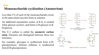 2 Chemistry of Carbohydrate final.pdf