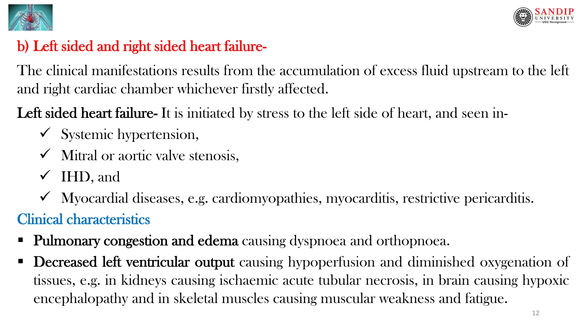 Cardiovascular Pathophysiology- Congestive Cardiac Failure (CCF ...
