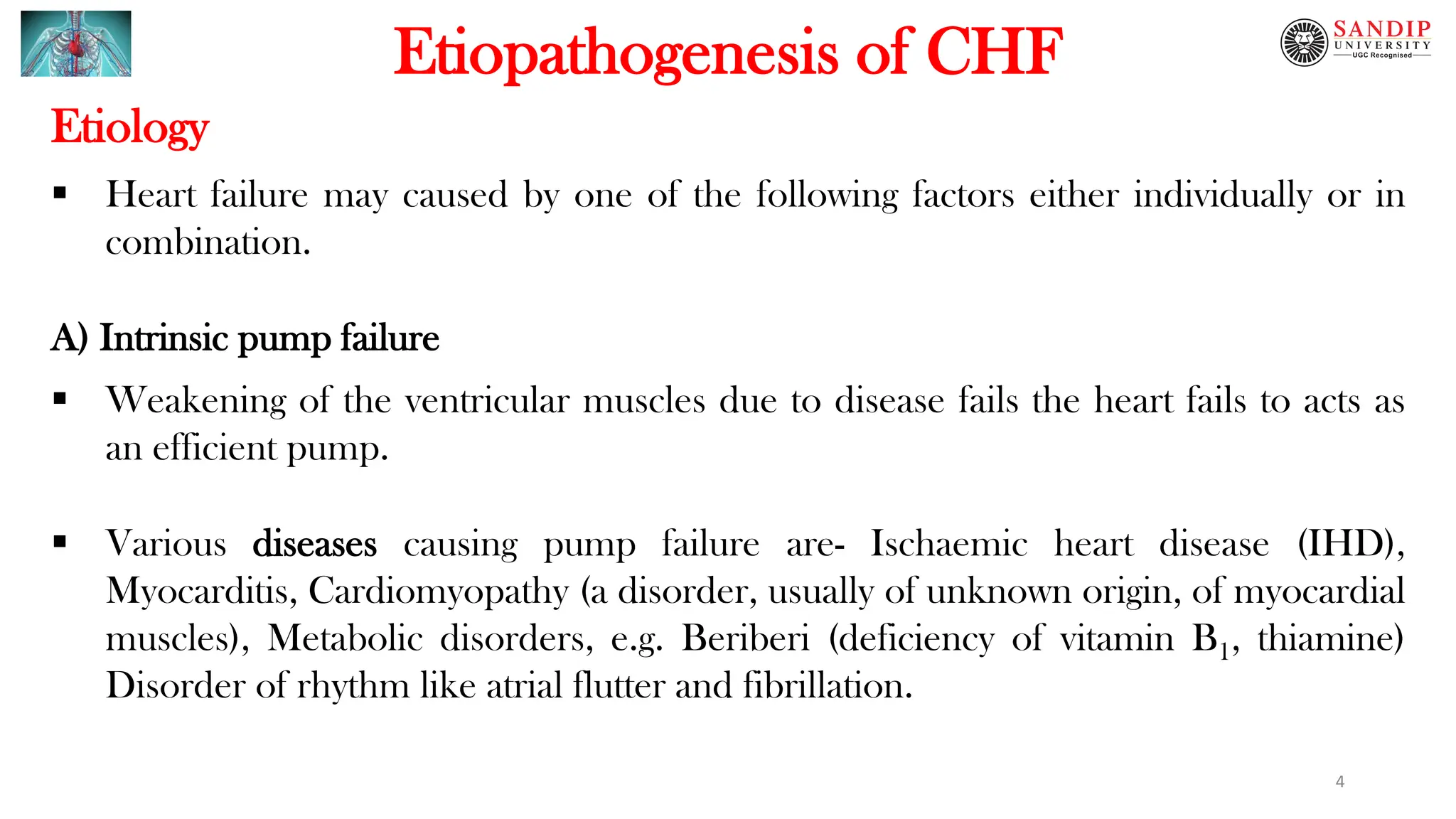 Cardiovascular Pathophysiology- Congestive Cardiac Failure (CCF)/Congestive Heart Failure (CHF ...