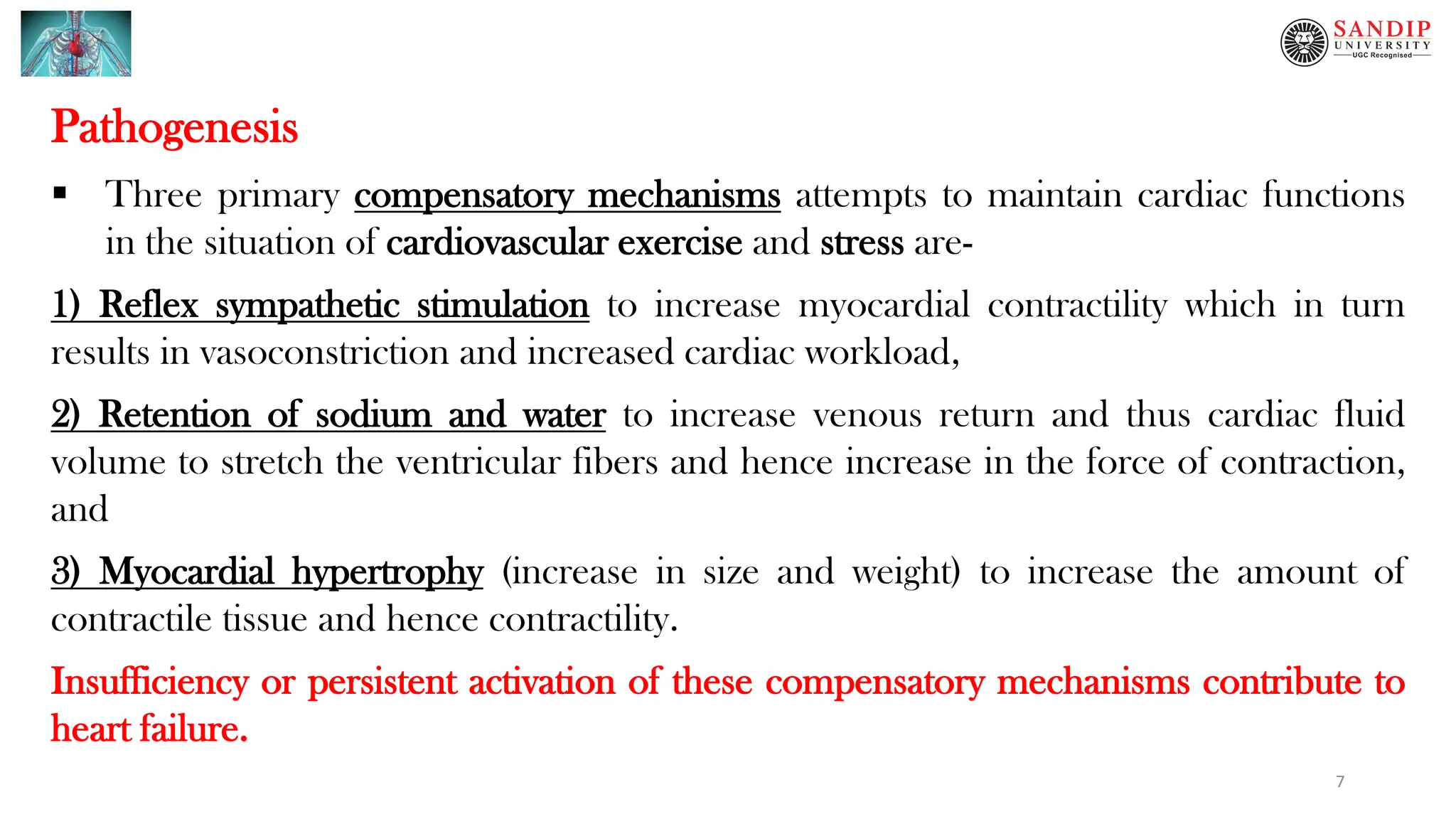 Cardiovascular Pathophysiology- Congestive Cardiac Failure (CCF ...