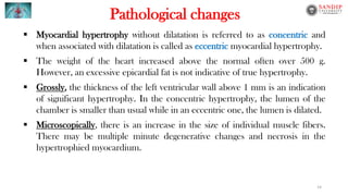 Cardiovascular Pathophysiology- Congestive Cardiac Failure (CCF ...