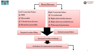 Cardiovascular Pathophysiology- Congestive Cardiac Failure (CCF)/Congestive Heart Failure (CHF ...