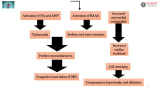 Cardiovascular Pathophysiology- Congestive Cardiac Failure (CCF ...