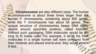 (2) CHROMOSOMES AND CHROMOSAL INHERITANCE.pptx