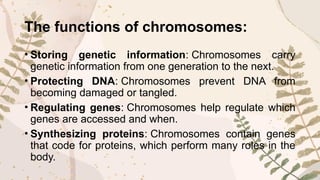 (2) CHROMOSOMES AND CHROMOSAL INHERITANCE.pptx