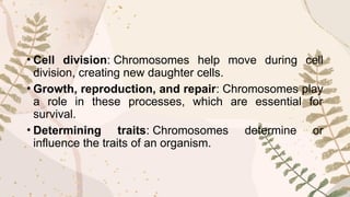(2) CHROMOSOMES AND CHROMOSAL INHERITANCE.pptx