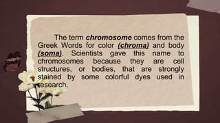 (2) CHROMOSOMES AND CHROMOSAL INHERITANCE.pptx