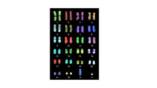 (2) CHROMOSOMES AND CHROMOSAL INHERITANCE.pptx