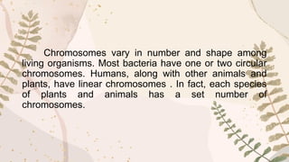 (2) CHROMOSOMES AND CHROMOSAL INHERITANCE.pptx