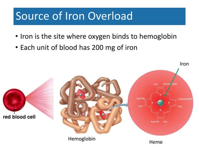Iron Chelation Therapy | PPTX | Blood Disorders | Diseases and Conditions