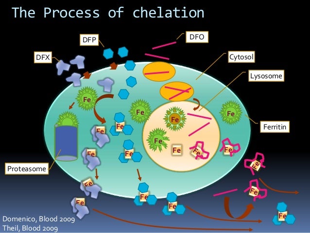 Iron Chelation Therapy