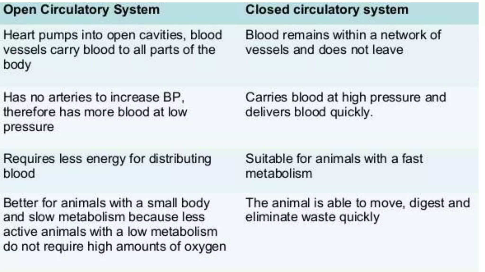 Circulation in Animals | PPTX