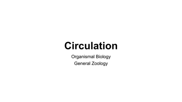 Circulation in Animals | PPTX