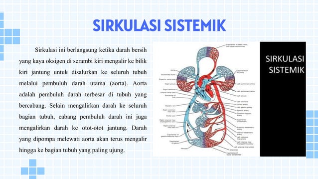 2C_Kelompok 2_Sistem Transportasi.pptx