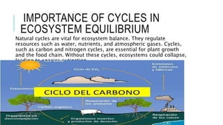 2_clase_Cycles in Nature.pptx cycles of nature | PPTX | Geography | Science