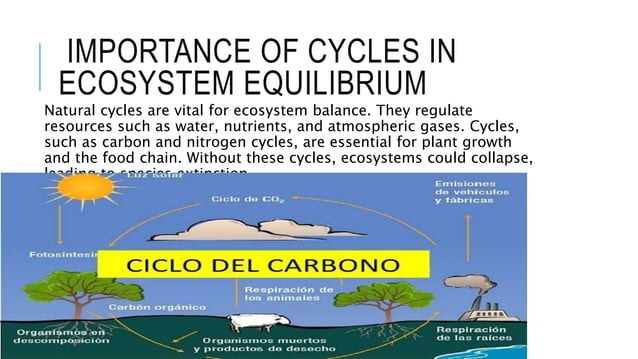 2_clase_Cycles in Nature.pptx cycles of nature | PPTX | Geography | Science