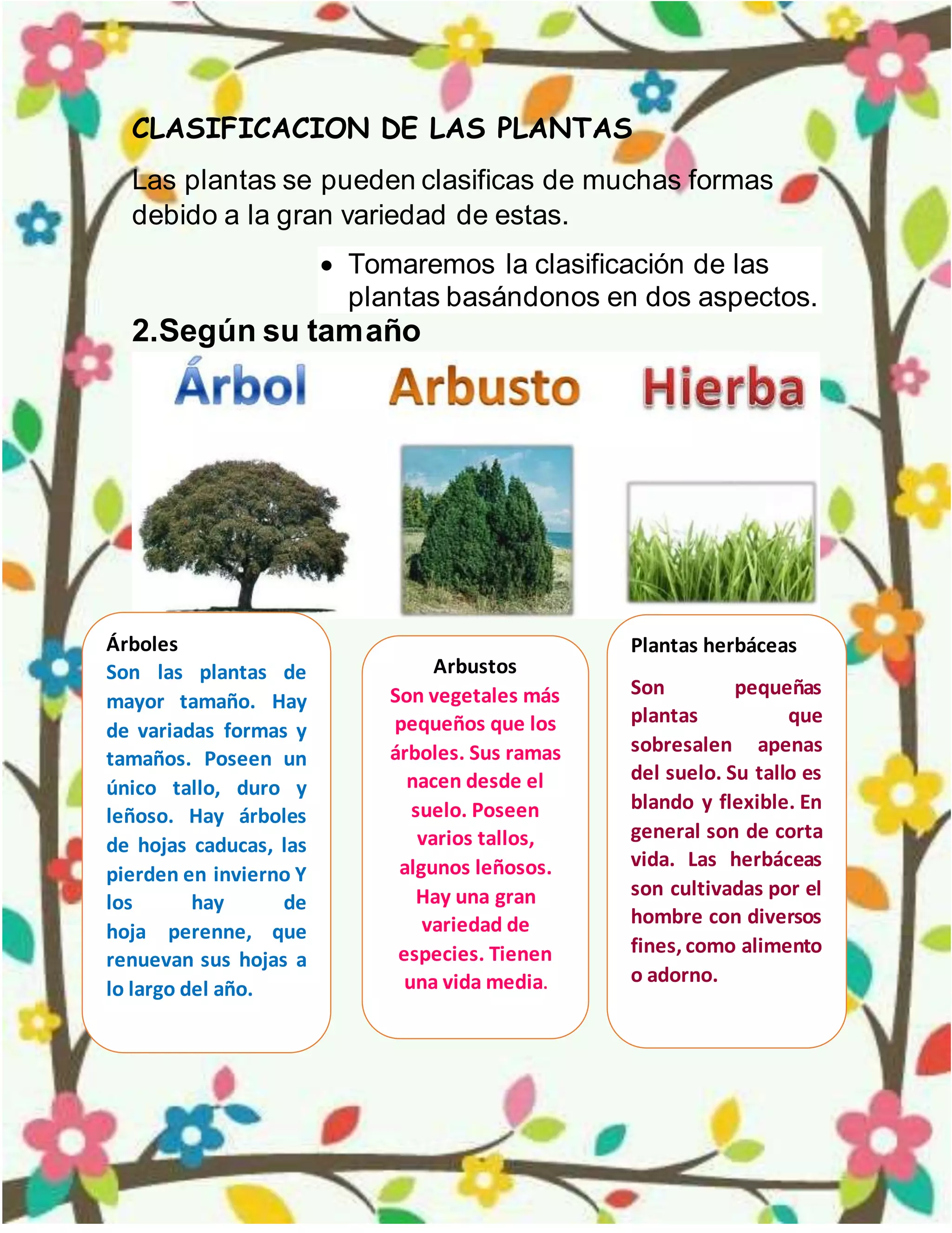 2 clasificacion de las plantas | DOCX