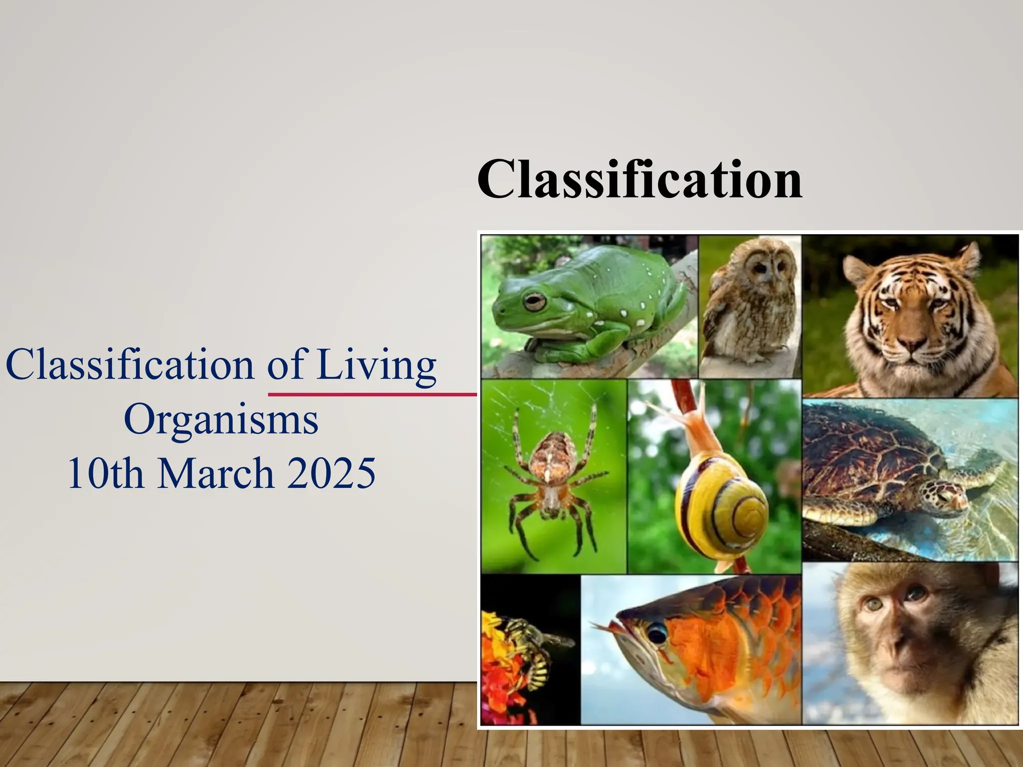Topic 1: Classification of living Organisms | PPTX