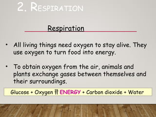 Topic 1: Classification of living Organisms | PPTX