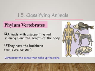 Topic 1: Classification of living Organisms | PPTX