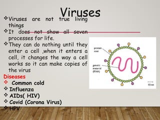 Topic 1: Classification of living Organisms | PPTX
