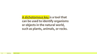 2 Classification of Animals.pptx