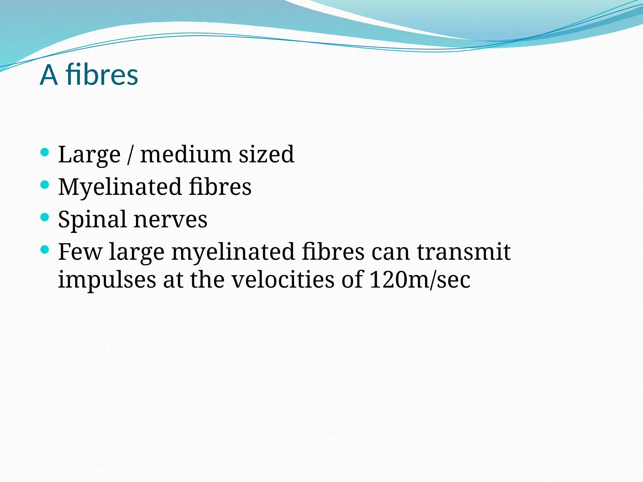 Nerve Fibres and Classification of Nervous Fibers | PPT