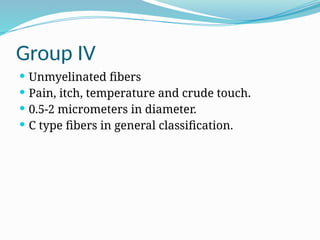 Nerve Fibres and Classification of Nervous Fibers | PPTX