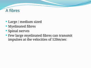 Nerve Fibres and Classification of Nervous Fibers | PPT