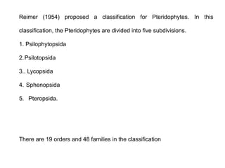 2 Classification of Pteridophytes.pptxuuu | PPTX