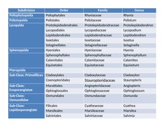 2 Classification of Pteridophytes.pptxuuu | PPT