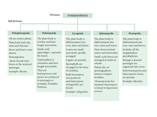 2 Classification of Pteridophytes.pptxuuu | PPT