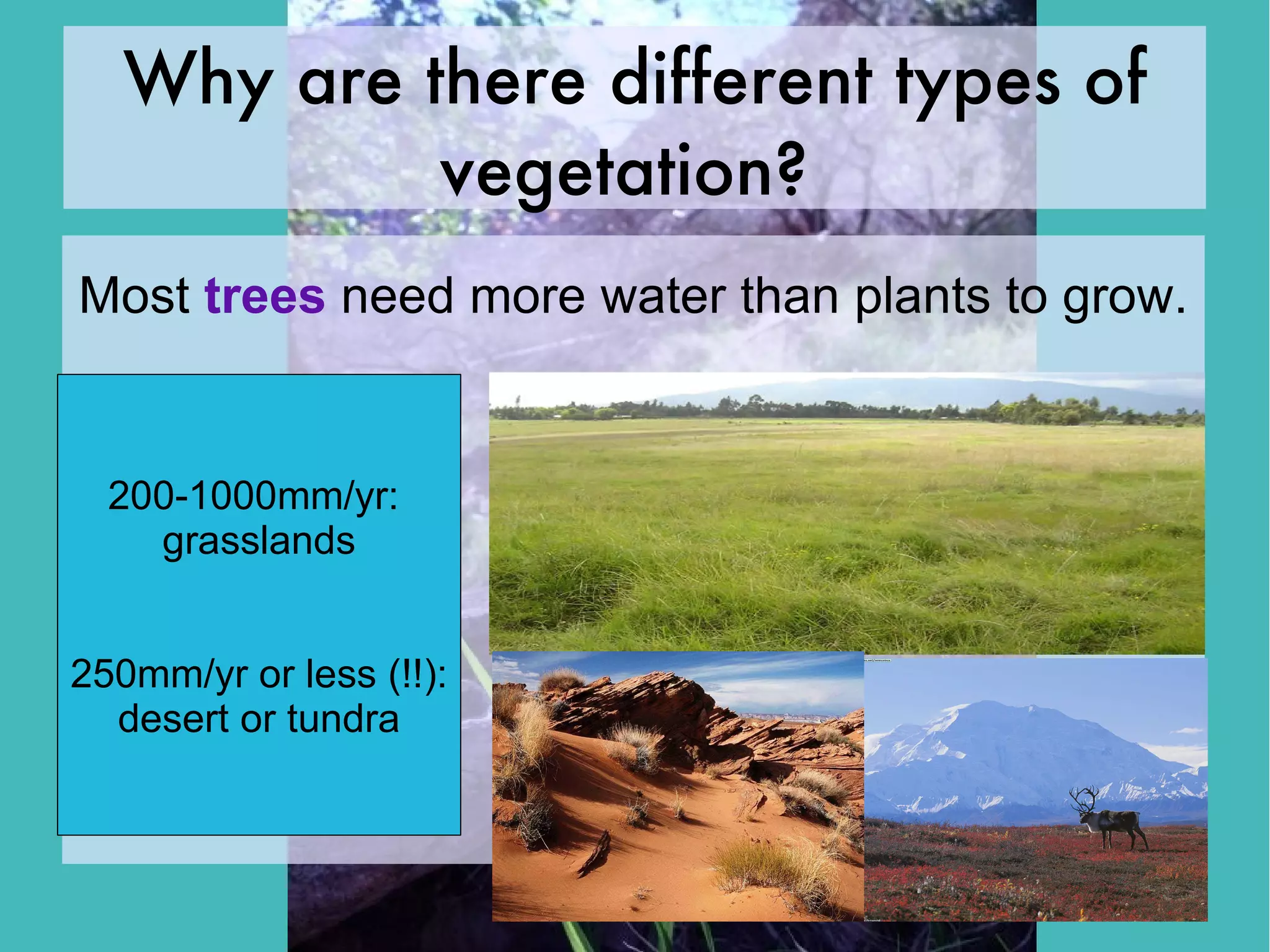 Natural Vegetation: Climate's Effect on Vegetation | PPT