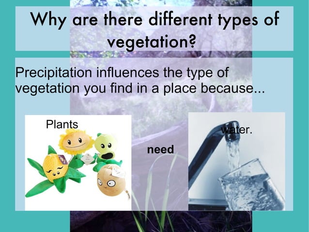 Natural Vegetation: Climate's Effect on Vegetation | PPT