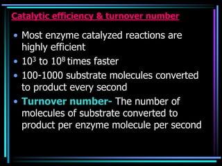2 coenzymes and specificity | PPT