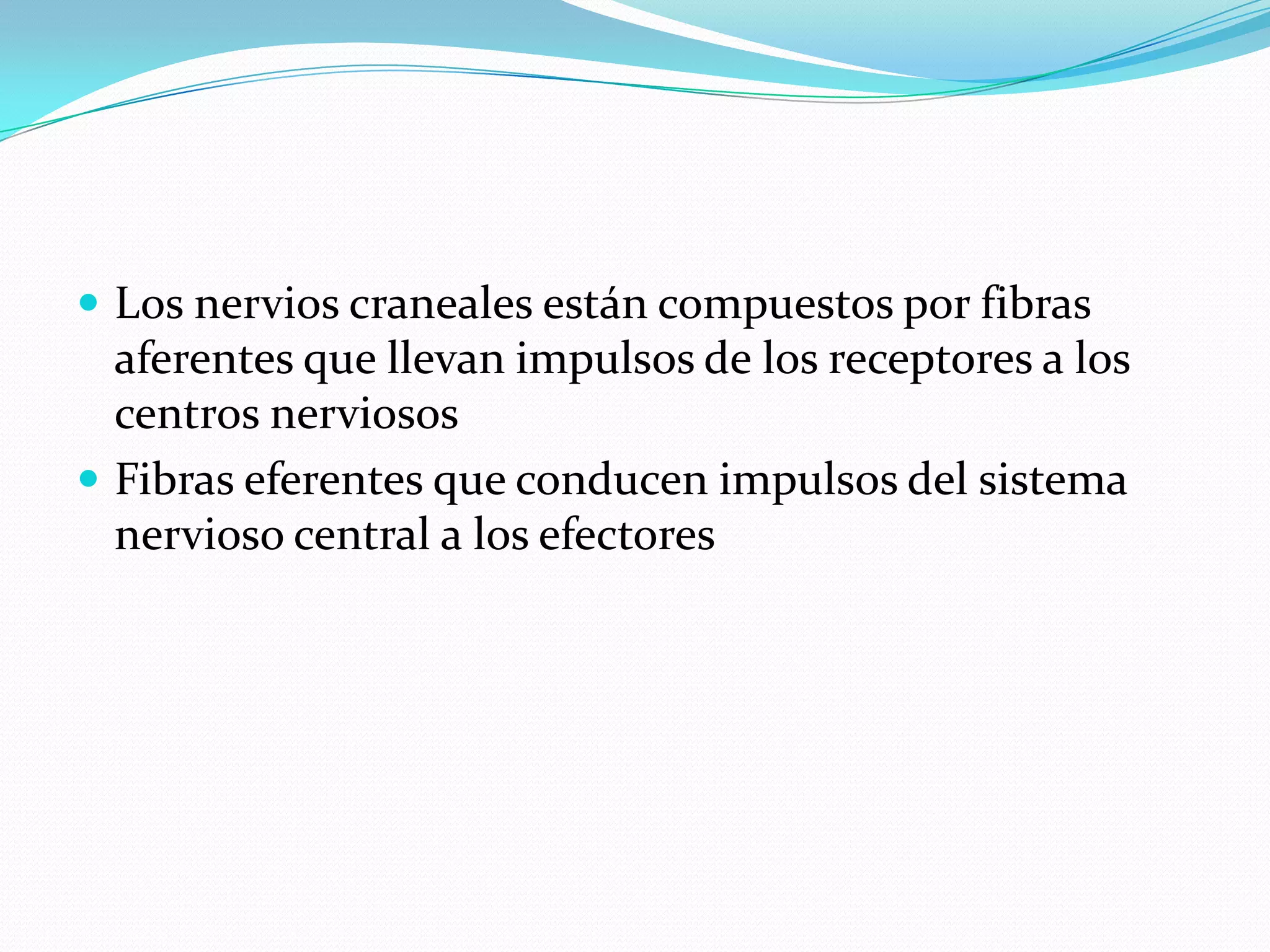 2 componentes de los nervios craneales | PPT