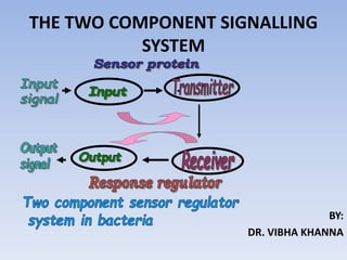 Two-component Signal Transduction | PPTX