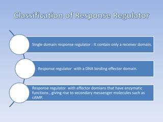 Two-component Signal Transduction | PPTX