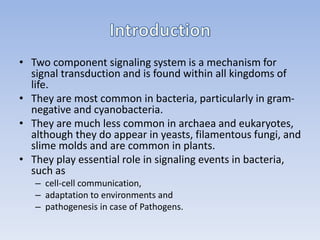 Two-component Signal Transduction | PPTX