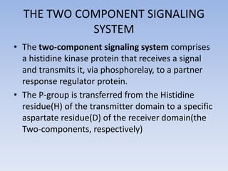 Two-component Signal Transduction | PPTX