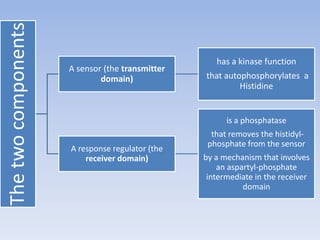Two-component Signal Transduction | PPTX